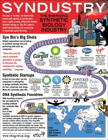 Syndustry-The Big Shots of the SynBio world | ETC Group