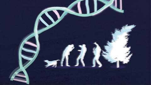 Gene Drive organisms: Destructive and Uncontrollable | ETC Group