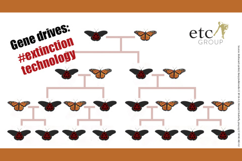 Genomics & Biotechnology | ETC Group