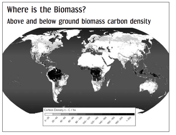 86% of the world's biomass is located in the global South. | ETC Group